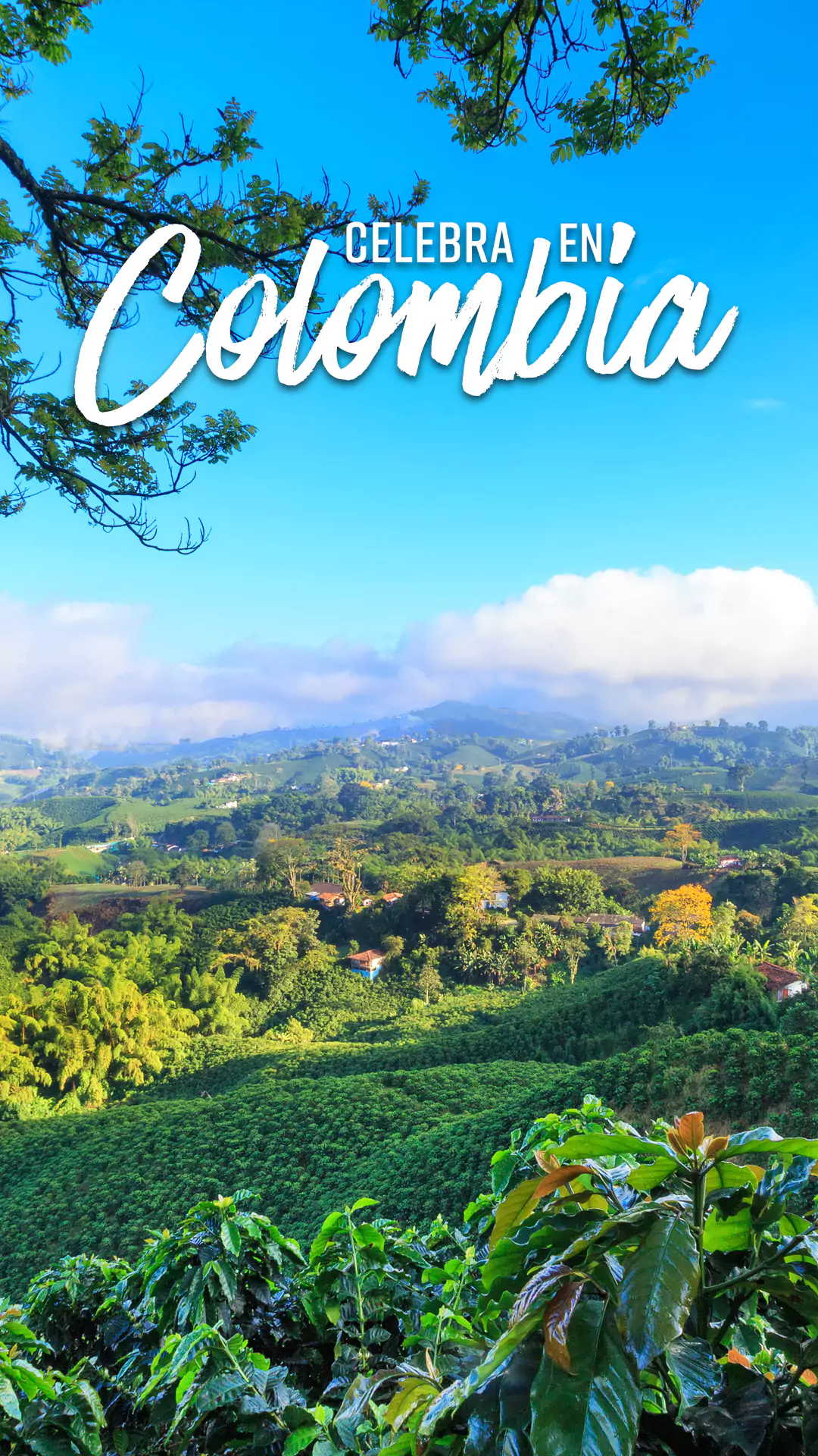 Almeida Viajes Esmeralda. Agencia de viajes en Atizapán de Zaragoza ...