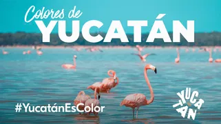 Viaje: Colores de Yucatán MT-40339
